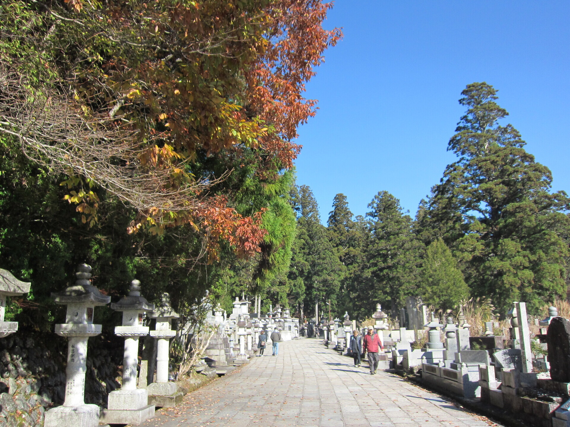 高野山 奥の院へ: ドライブ＆泳ぐ ブログ